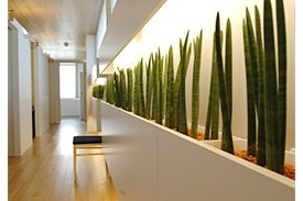 Shinbashi Beauty Clinic - Before/After | KIREI